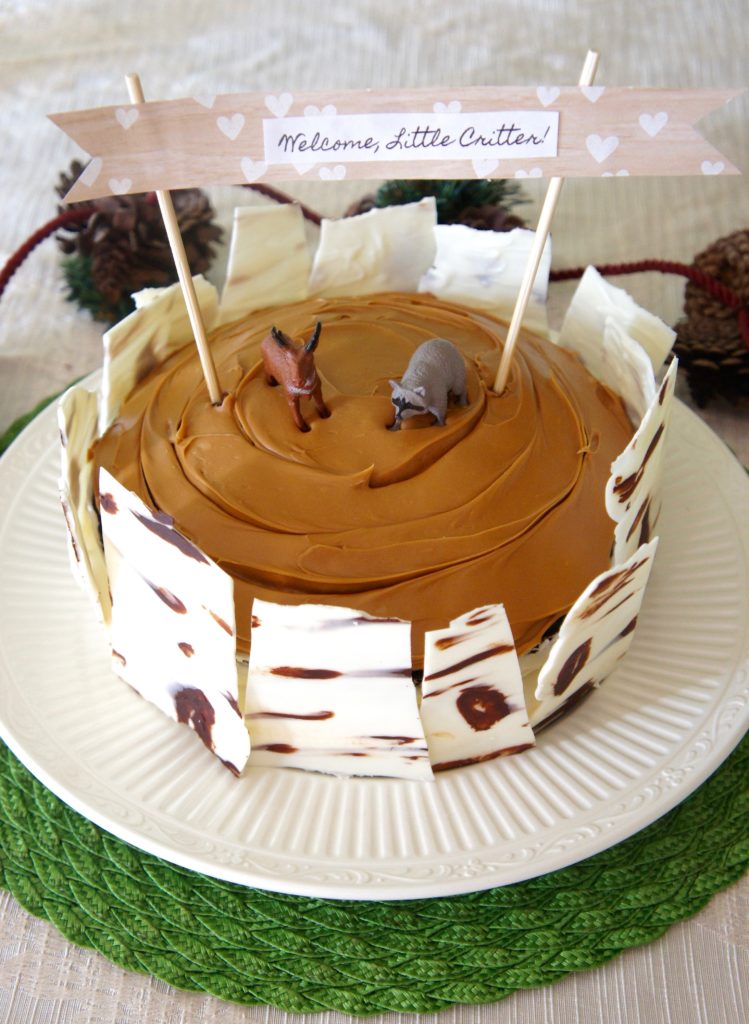 Birch Bark Cake - A Love Letter To Food