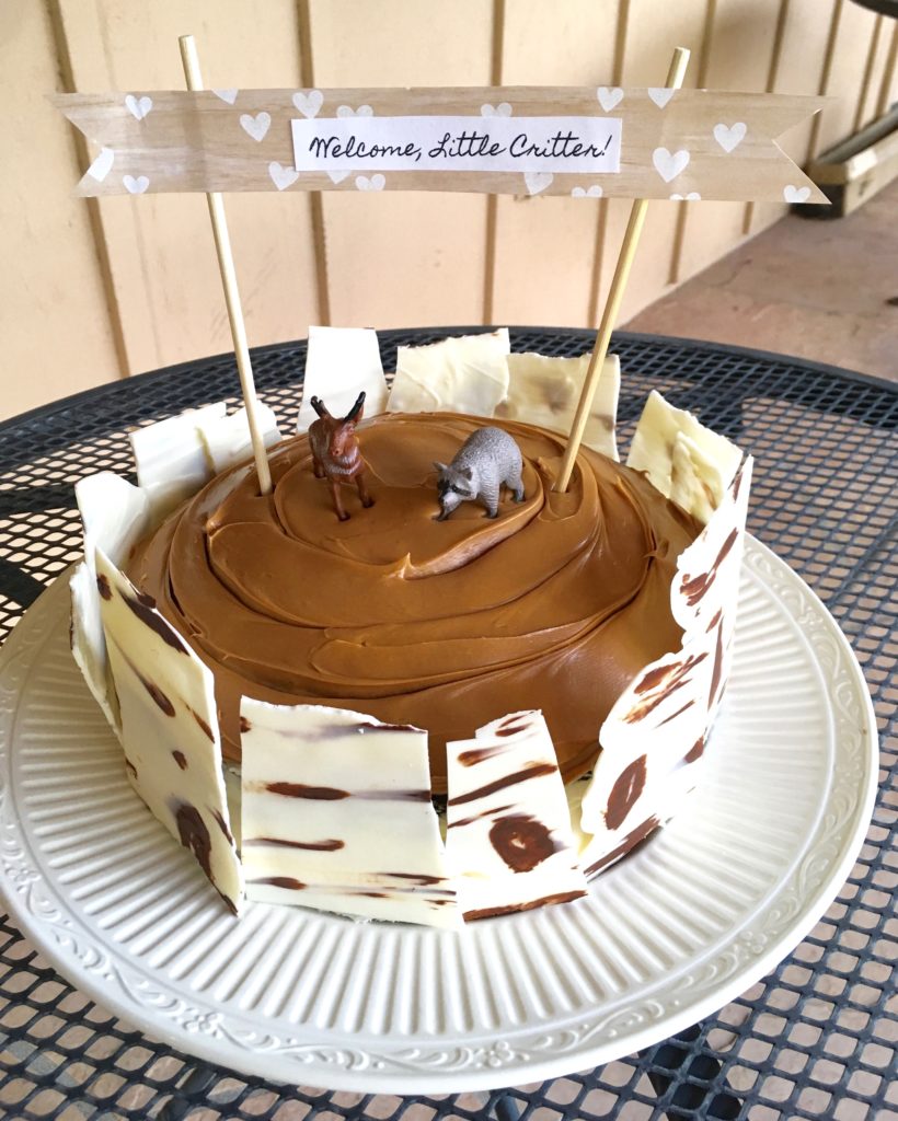 Birch Bark Cake - A Love Letter To Food